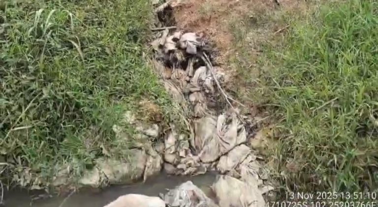 IPAL PKS PT MAS Diduga Overload, Warga Inhu Resah Akibat Bau dan Pencemaran